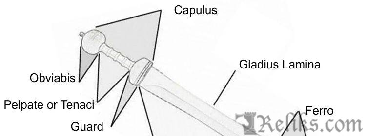 Gladius Sword Dimensions